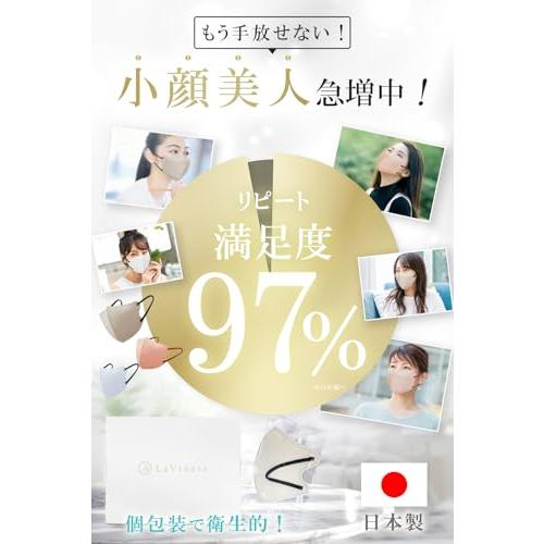 LaViness マスク 不織布 立体 立体マスク 日本製 30枚制服小物 ローズグレー×ブラック : あかるストア - 通販 - Yahoo!ショッピング