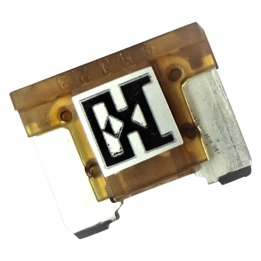 EXC-HG 低背 ヒューズ 5アンペア EXC-HG-TH5S : KENちゃんSHOP2-2-2 - 通販 - Yahoo!ショッピング