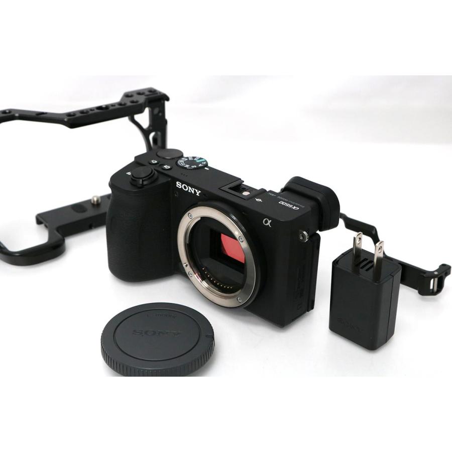 α6000 【全額返金保証】美品｜ソニー α6600 ILCE-6600 ボディ CA01-M2442-3V1C : アキバ流通 - 通販 ...