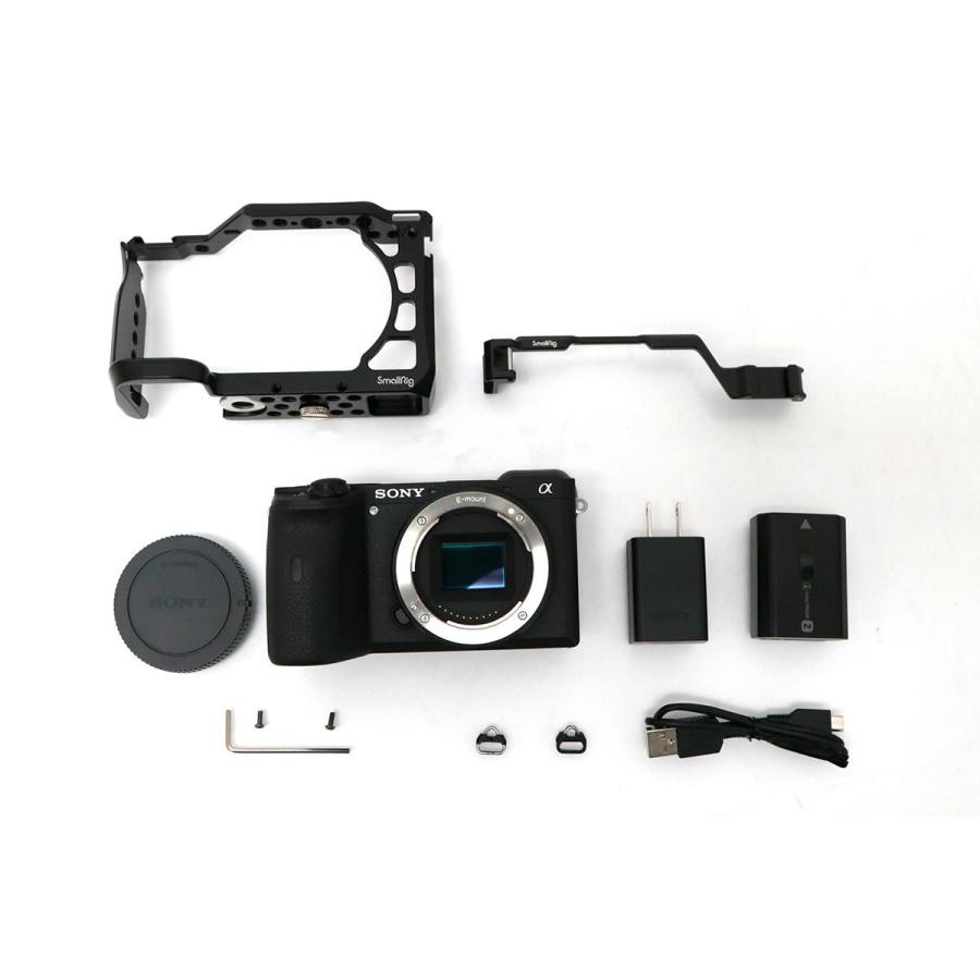 α6000 【全額返金保証】美品｜ソニー α6600 ILCE-6600 ボディ CA01-M2442-3V1C : アキバ流通 - 通販 ...