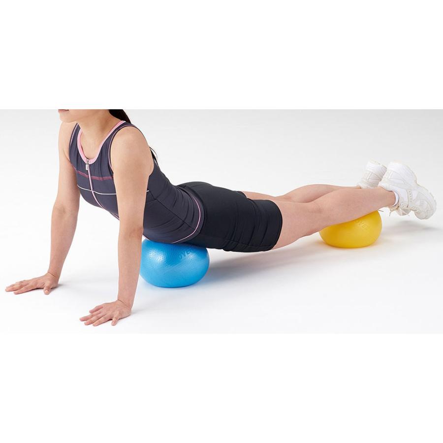 ダンノ ソフトギムニク ブルー トレーニングボール トレーニング 自宅 運動 筋トレ 宅トレ エクササイズ DANNO D5417 : あきちゃん堂 - 通販 - Yahoo!ショッピング