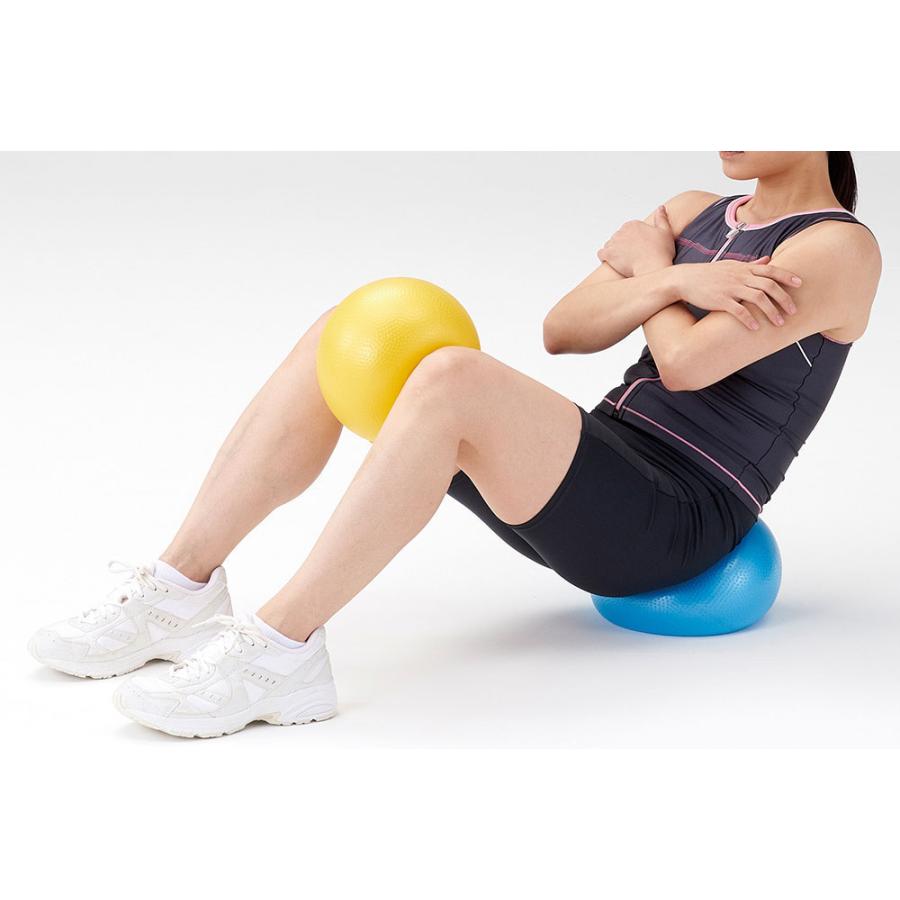 ダンノ ソフトギムニク ブルー トレーニングボール トレーニング 自宅 運動 筋トレ 宅トレ エクササイズ DANNO D5417 : あきちゃん堂 - 通販 - Yahoo!ショッピング