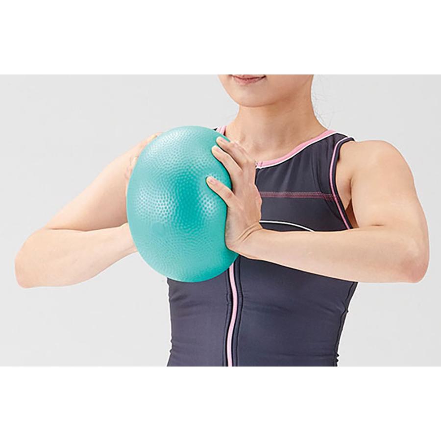 ダンノ ソフトギムニク ブルー トレーニングボール トレーニング 自宅 運動 筋トレ 宅トレ エクササイズ DANNO D5417 : あきちゃん堂 - 通販 - Yahoo!ショッピング