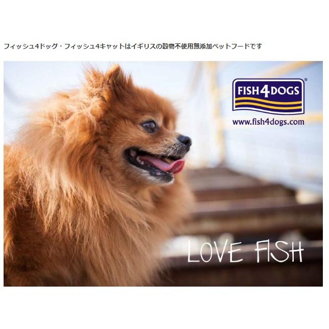 【20%OFFクーポン適用で6336円】FISH 4 DOGS フィッシュ4ドッグ ファイネスト サーモン 小粒 3kg 3000g ドッグフード 犬 餌 : プラザペットパレード Yahoo ...