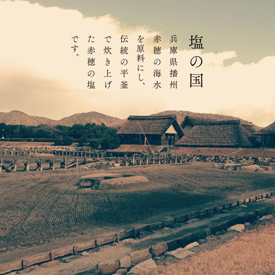 塩分補給 塩 熱中症対策 1g 100袋 暑さ対策 熱願成就の塩 部活 塩分チャージ 国産 : 海洋深層水のアコール - 通販 - Yahoo!ショッピング