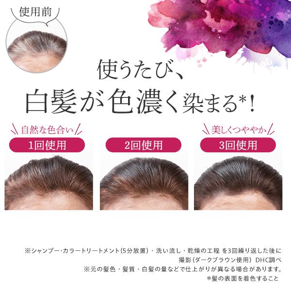 DHC Q10プレミアム カラートリートメント ブラックブラウン 235g 白髪用 染毛剤 白髪染め 30代 40代 50代 60代 70代 カラーリング (ブラックブラウン235g 1個 ...