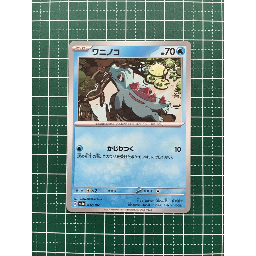 ★ポケモンカードゲーム スカーレット＆バイオレット テラスタルフェスex SV8a #032 ワニノコ★ : pokemon-sv8a ...