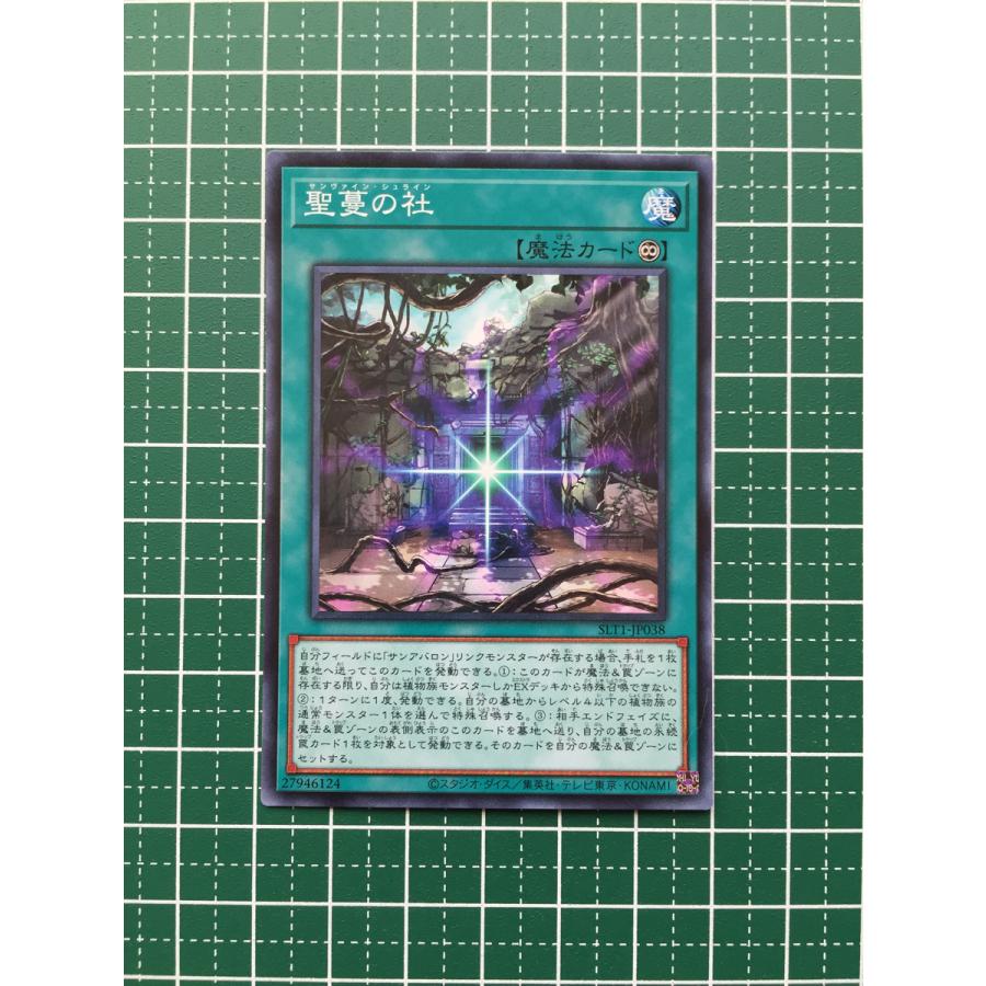 ★遊戯王 OCG SELECTION 10 セレクション 聖蔓の社[SLT1-JP038]ノーマル「N」★ : カードショップ テソーロ ヤフー店 - 通販 - Yahoo!ショッピング