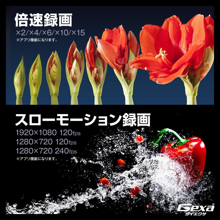 5K アクションカメラ ウェアラブルカメラ ヘッドマウントカメラ ヘッドカメラ 手ブレ補正 ハンズフリー 縦型動画撮影 Wi-Fi 512GB対応 GX-117 Gexa(ジイエクサ ...