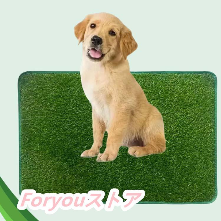 46×71cm 人工芝 ペット用 大判 46×36cm 大きめ おしっこマット 犬 ペットトイレシート 46×58cm 室内用トイレトレー : アルフレッド - 通販 - Yahoo!ショッピング