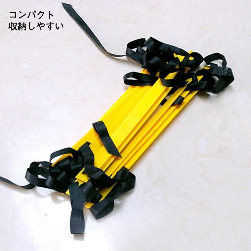 トレーニングラダー ラダー トレーニング サッカー フットサル バスケット 野球 陸上 敏捷性 瞬発力 持ち運び 軽量 初心者 収納袋 3m 6枚 : Allen Crystal - 通販 ...