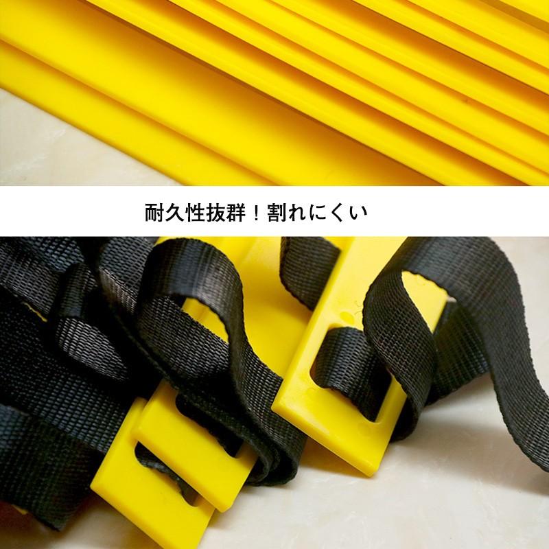 トレーニングラダー ラダー トレーニング サッカー フットサル バスケット 野球 陸上 敏捷性 瞬発力 持ち運び 軽量 初心者 収納袋 3m 6枚 : Allen Crystal - 通販 ...