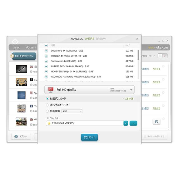 Freemake Video Converter & Downloader セット 永久ライセンス Windows対応 [ダウンロード版 ...