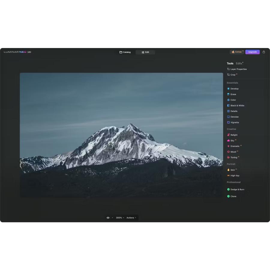 Luminar NEO Lite 永続ライセンス (Windows/Mac対応)【ダウンロード版】/ ルミナー AI駆動のプロ写真編集 日本語 ...