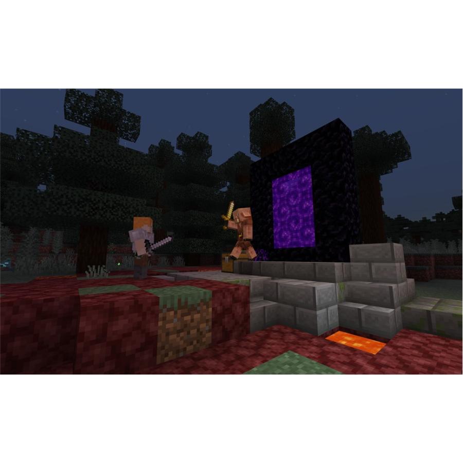 Minecraft: Java & Bedrock Edition for PC Deluxe Collection (オンラインコード版 ...