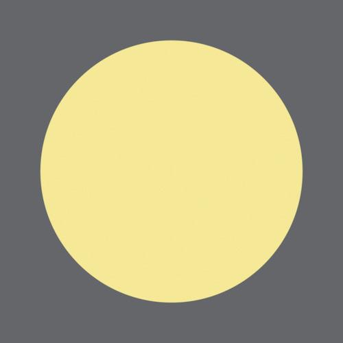 日本緑十字社 日本緑十字社 船舶用蓄光標識 丸印 船1902 55×55mm エンビ 082902 : オールライト Yahoo!店 - 通販 - Yahoo!ショッピング