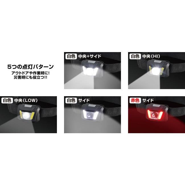 ELPA ELPA LEDヘッドライト 白色LED 全灯時210lm COB切替 防沫形 IPX4 赤色点灯 単4形アルカリ乾電池×3本使用(別売) DOP-HD701 : オールライト ...