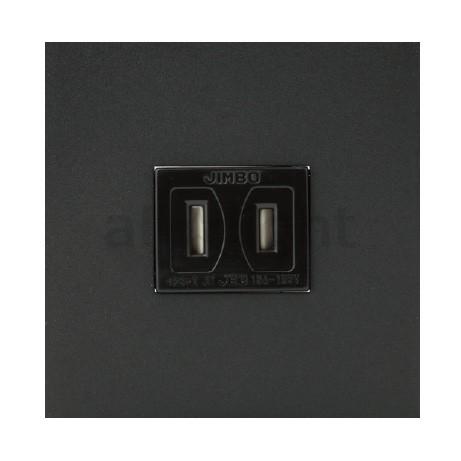 神保電器 神保電器 HTL扉付きコンセントセット(取付枠+プレート+扉付きシングルコンセント) 15A 125V ソフトブラック(SB ...