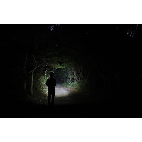 GENTOS GENTOS REXEEDシリーズ フラッシュライト LEDハンディライト 高輝度白色LED IP64 500lm USB充電式 ...