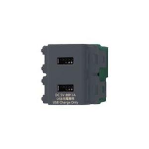 Panasonic パナソニック SO-STYLE配線器具 埋込充電用USBコンセント TypeA 2個モジュール 2ポート 入力30VA ...