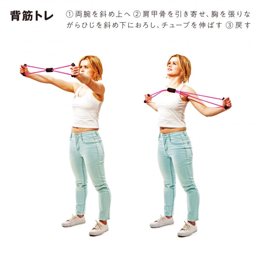 エルガム 筋トレの時間だよ スタンダード 54149 フィットネス小物 erugam : アルペングループヤフー店 - 通販 - Yahoo!ショッピング