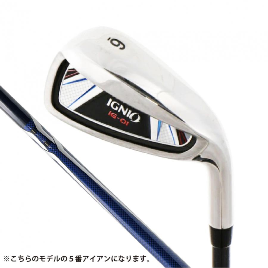 IGNIO イグニオ ゴルフ5アカデミー稗田プロ推奨モデル 単品アイアン オリジナルカーボン R 2024年モデル メンズ : アルペングループヤフー店 - 通販 - Yahoo!ショッピング