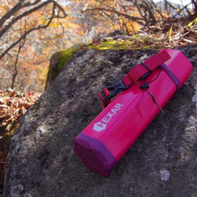 DOSHISHA ドウシシャ HEXARボトル 800ml ローズレッド DHXB800RRD 水筒 Doshisha : アルペングループヤフー店 - 通販 - Yahoo!ショッピング