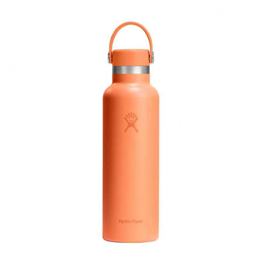 HYDRO FLASK ハイドロフラスク HYDRATION 21oz STANDARD MOUTH 8900120161 キャンプ ボトル 水筒 : Nectar Hydro Flask ...