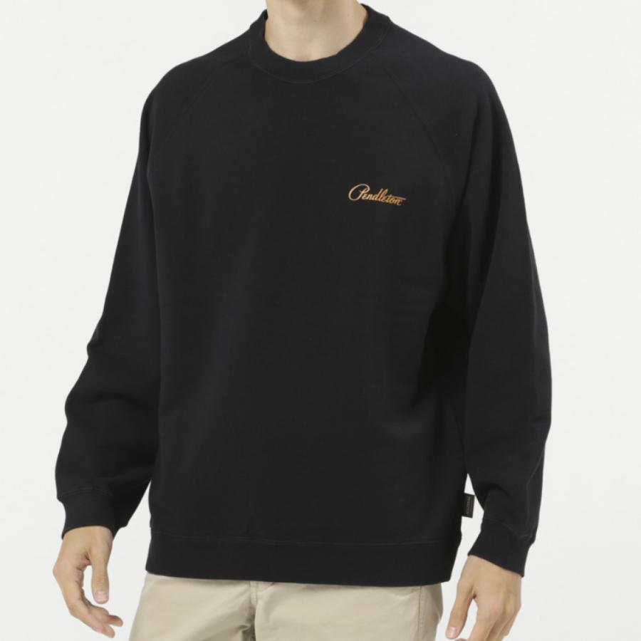 PENDLETON ペンドルトン アウトドア 長袖Tシャツ 2475-9004 : アルペングループヤフー店 - 通販 - Yahoo!ショッピング