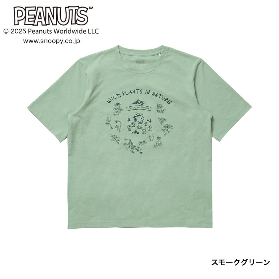 PEANUTS 2025春夏 ティゴラ レディース アウトドア 半袖Tシャツ グラフィック半袖T 野草 スヌーピー TRPN-9D2265TS TIGORA : アルペングループヤフー店 ...