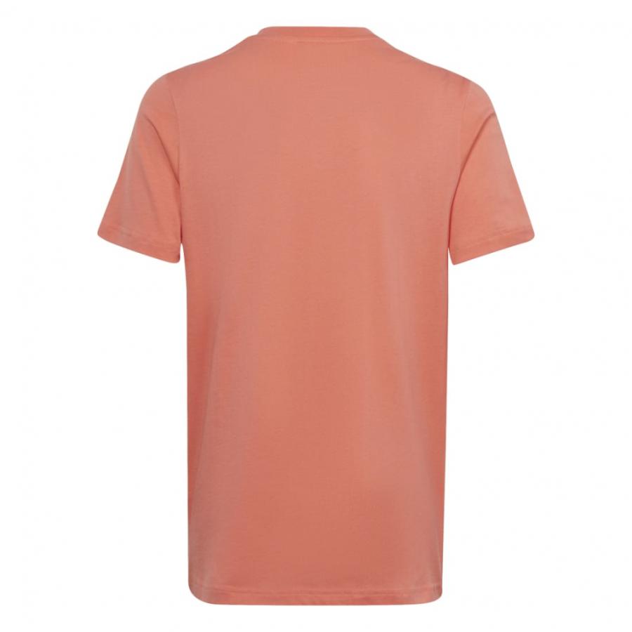 アディダス ジュニア キッズ 子供 半袖 Tシャツ エッセンシャルズ ビッグロゴ コットン ECN71 IC6859 IC6858 スポーツ ...