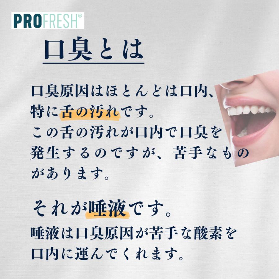 口臭ケア マウスウォッシュ プロフレッシュ オーラルリンス 500ml 2本 アルコールフリー ProFresh ClO2 公式 オーラルケア 父の日 マスク :020-PRF-0012 ...