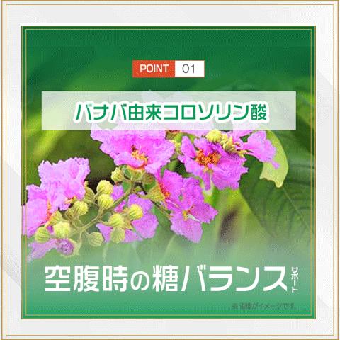 Alphay 血糖値 サプリ 約3ヶ月分 糖ダブル対策 バナバ サラシア イヌリン ギムネマ 白インゲン豆 桑の葉 ターミナリアベリリカ 田七人参 GABA コロソリン酸 : 健康サプリ ...