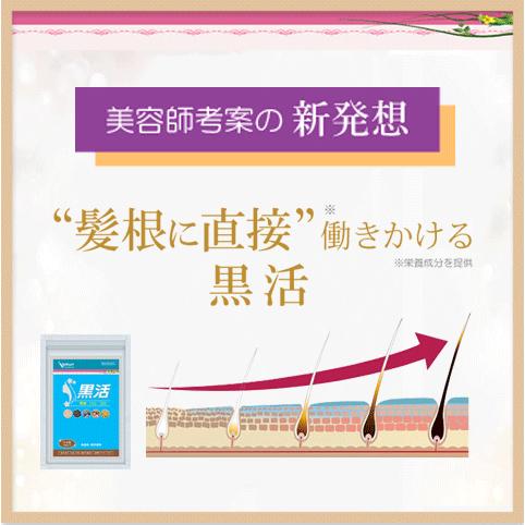 白髪 サプリ 3袋セット 国産 黒髪 サプリ ケラチン ノコギリヤシ シスチン チロシン ビオチン コラーゲン 亜鉛 大豆 昆布 ヒアルロン酸 女性 :bbh-030:健康サプリ - 通販 ...