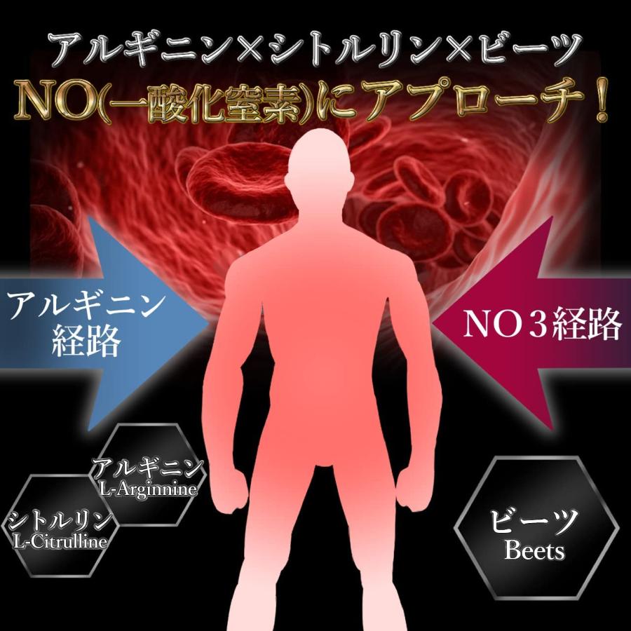 NOXY NO系 サプリメント ビーツ アルギニン シトルリン 亜鉛 クエン酸 厳選15成分 ノクシィ : 暮らし彩り館 東京本店 - 通販 ...