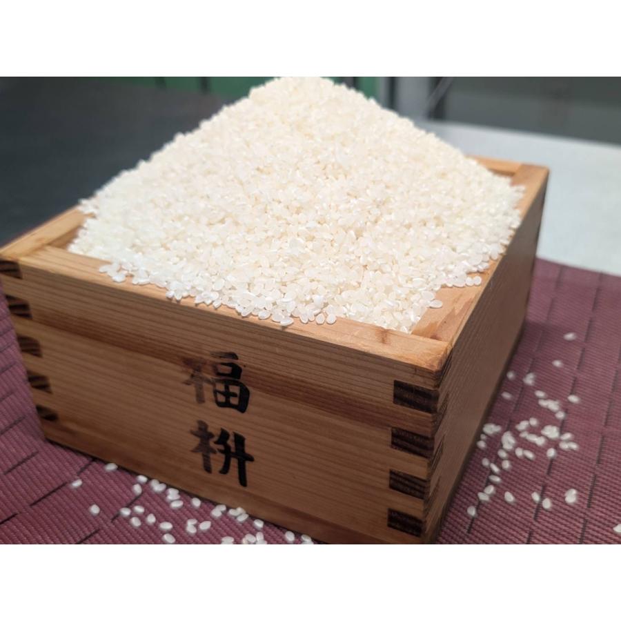 茨城県産 新米 コシヒカリ5キロ 精米 : 天星 - 通販 - Yahoo!ショッピング