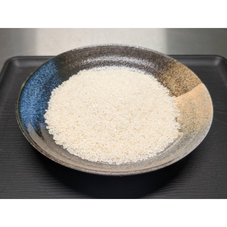 茨城県産 新米 コシヒカリ5キロ 精米 : 天星 - 通販 - Yahoo!ショッピング