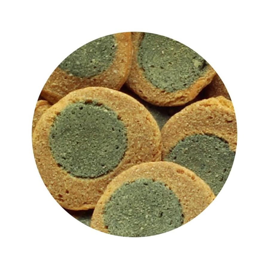 在庫限り テトラ プレコ 105g 賞味期限：2027年3月まで : アマゾネスヤフー店 - 通販 - Yahoo!ショッピング