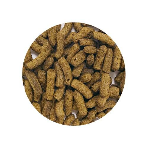 GEX レオパブレンドフード 60g 昆虫の栄養そのまま! : アマゾネスヤフー店 - 通販 - Yahoo!ショッピング