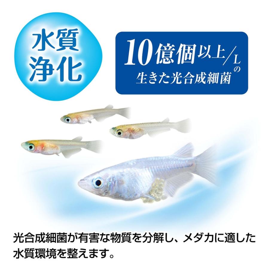 GEX メダカ元気 育てるPSBウォーター 1L :10009966:アマゾネスヤフー店 - 通販 - Yahoo!ショッピング