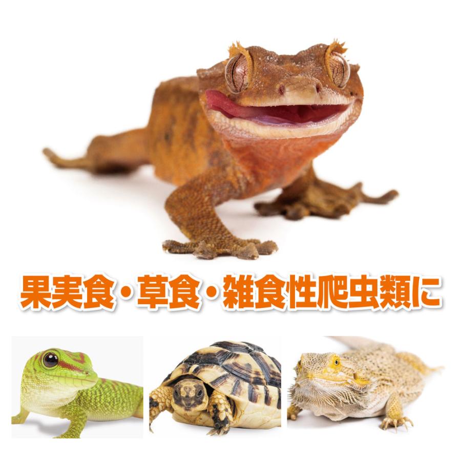 GEX RepDeli ダブルフルーツペースト バナナ&マンゴー : アマゾネスヤフー店 - 通販 - Yahoo!ショッピング