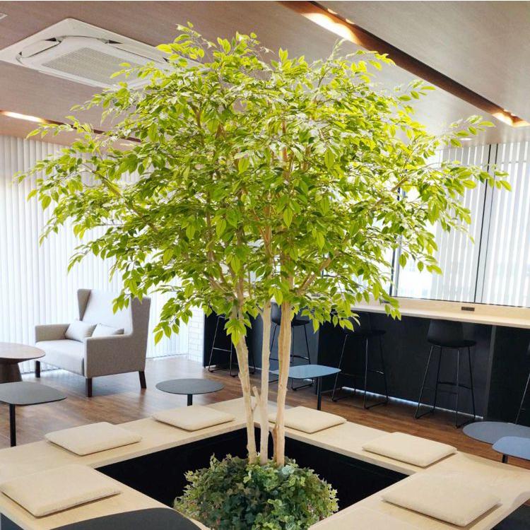 ベンジャミン ゴールドラッシュ 260cm 下草植栽付き (造花 インテリア ナターシャ 大型 おしゃれ 室内 人工 観葉植物 装飾 ディスプレイ フェイク 2.6m) : am1247 ...