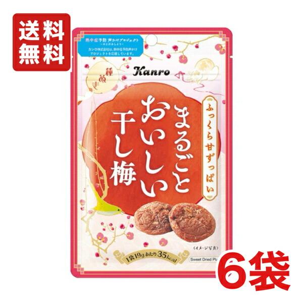 送料無料 カンロ まるごとおいしい干し梅 19g×6袋 メール便 : あめちゃん 飴の専門卸店 - 通販 - Yahoo!ショッピング