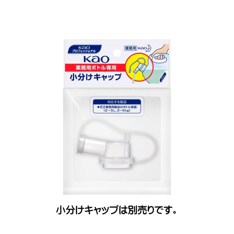 Kao 花王 フィエスタ 洗顔・手洗いフォーム 2L×3本 : アメニティズショップ - 通販 - Yahoo!ショッピング