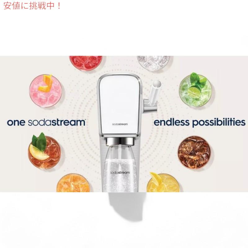 SodaStream ソーダストリーム Zero Lemonade Sodamixゼロ・レモネード・ソーダミックス14.8oz ...