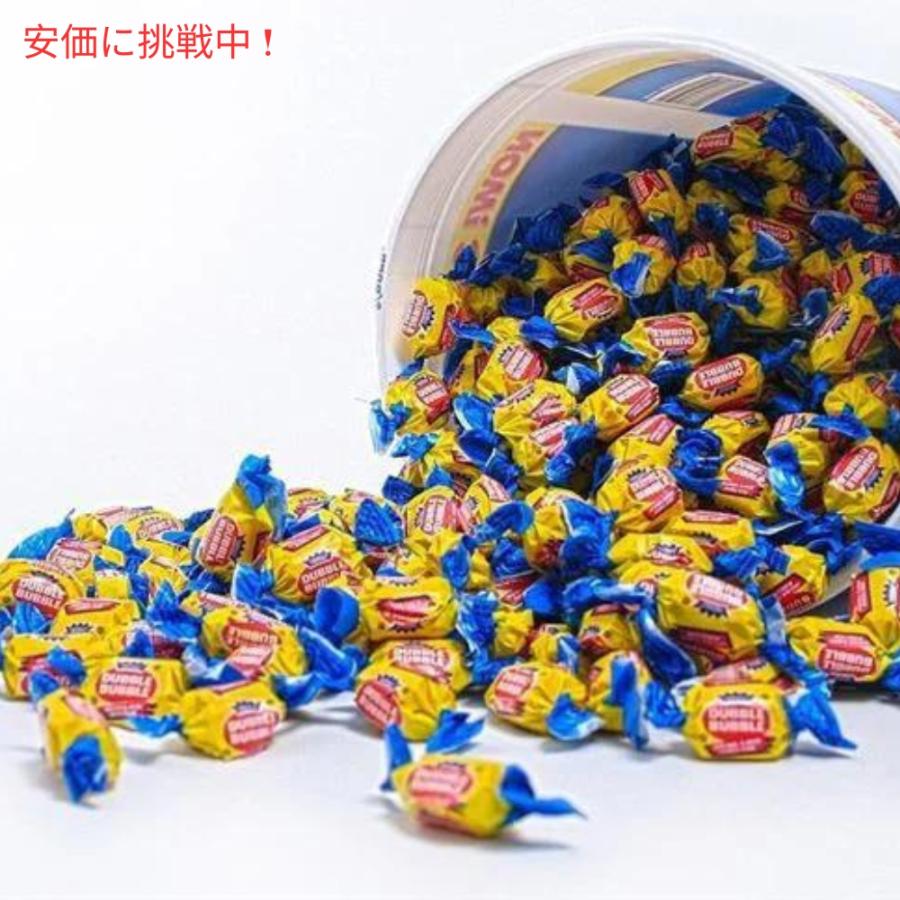 Dubble Bubble ダブルバブル バブルガム 165個入り 765g / 26.9 oz ファンチームタブ Gum Fun Team Tub 165 pieces 風船ガム 個包装 ...