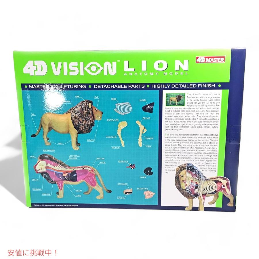 4Dビジョン ライオン 解剖模型 解剖モデル 4D Vision Lion Anatomy Model : American Kitchen - 通販 - Yahoo!ショッピング
