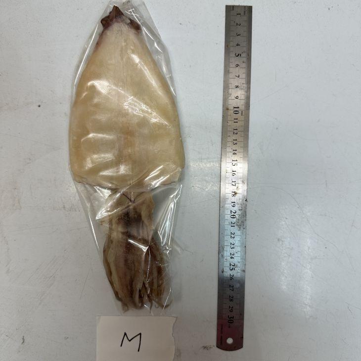 送料無料 剣先するめ Mサイズ 5枚入 約160-190g前後 等級101 ケンサキスルメ 原則ネコポス便 【マルイカ いか 乾物 烏賊】 : アメ横海産物の丸茂商店ヤフー店 - 通販 ...