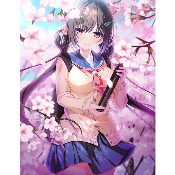 放課後シンデレラFD B2タペストリー[HOOKSOFT]《在庫切れ》 : あみあみ Yahoo!店 - 通販 - Yahoo!ショッピング