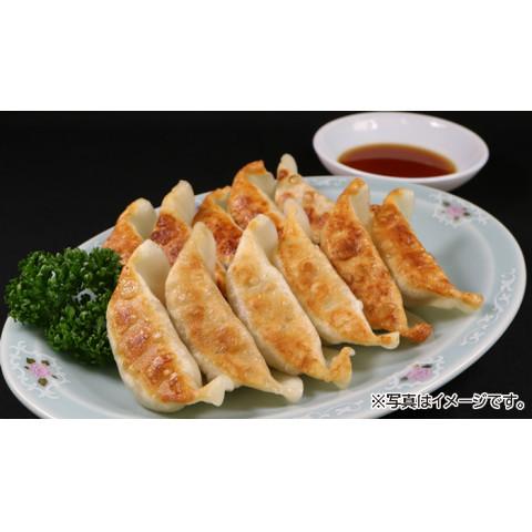 ジェフダ ジェフダ ぎょうざ 750g(50個) : 業務用食品アミカYahoo!店 - 通販 - Yahoo!ショッピング
